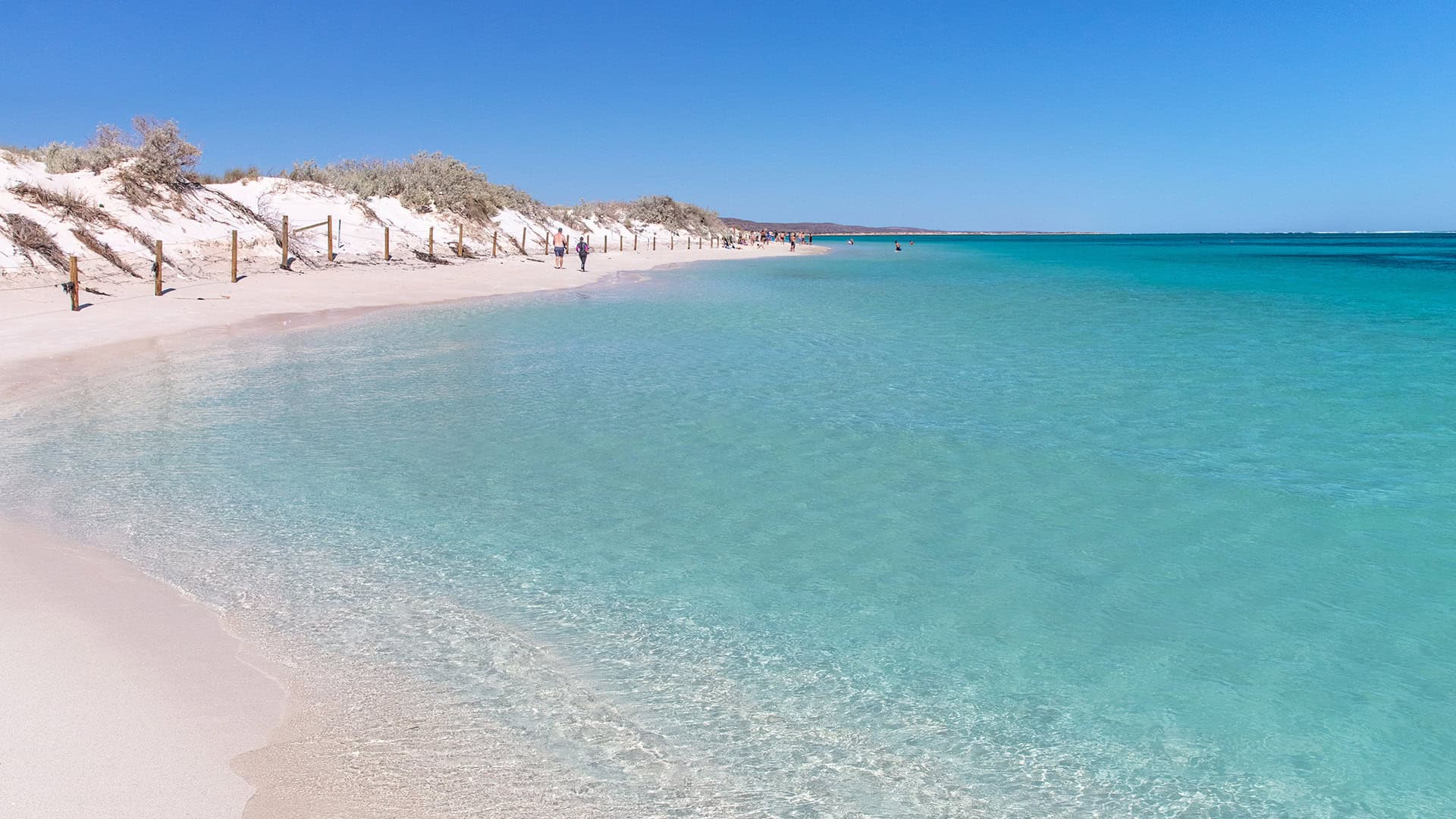 The Top 10 Things To Do In Exmouth 2024 - Accommodation Exmouth Escape ...